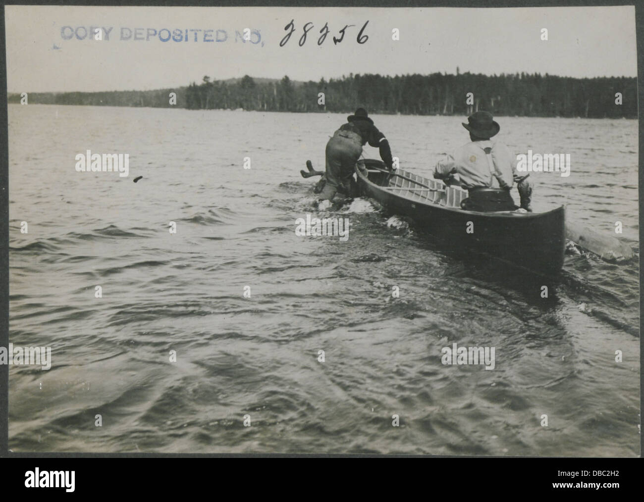 This photograph captures a man in a canoe stepping onto the back of a ...