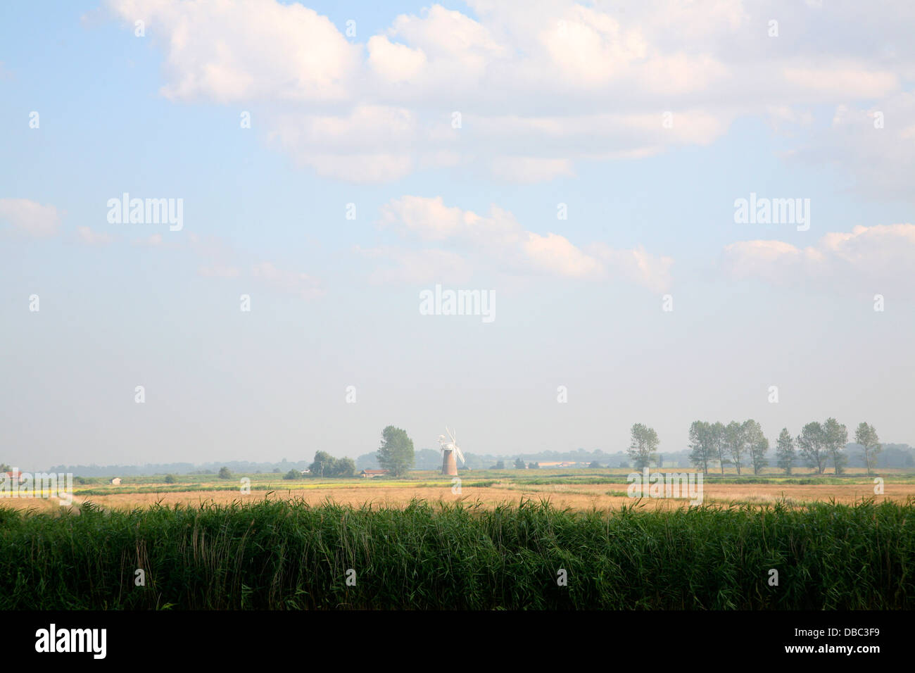 Norfolk Broads landscape near Reedham, Norfolk, England Stock Photo - Alamy