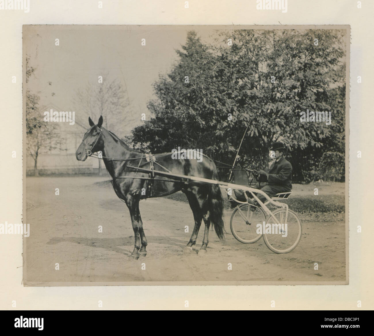 Dan Patch Photo B (HS85-10-16532 Stock Photo - Alamy