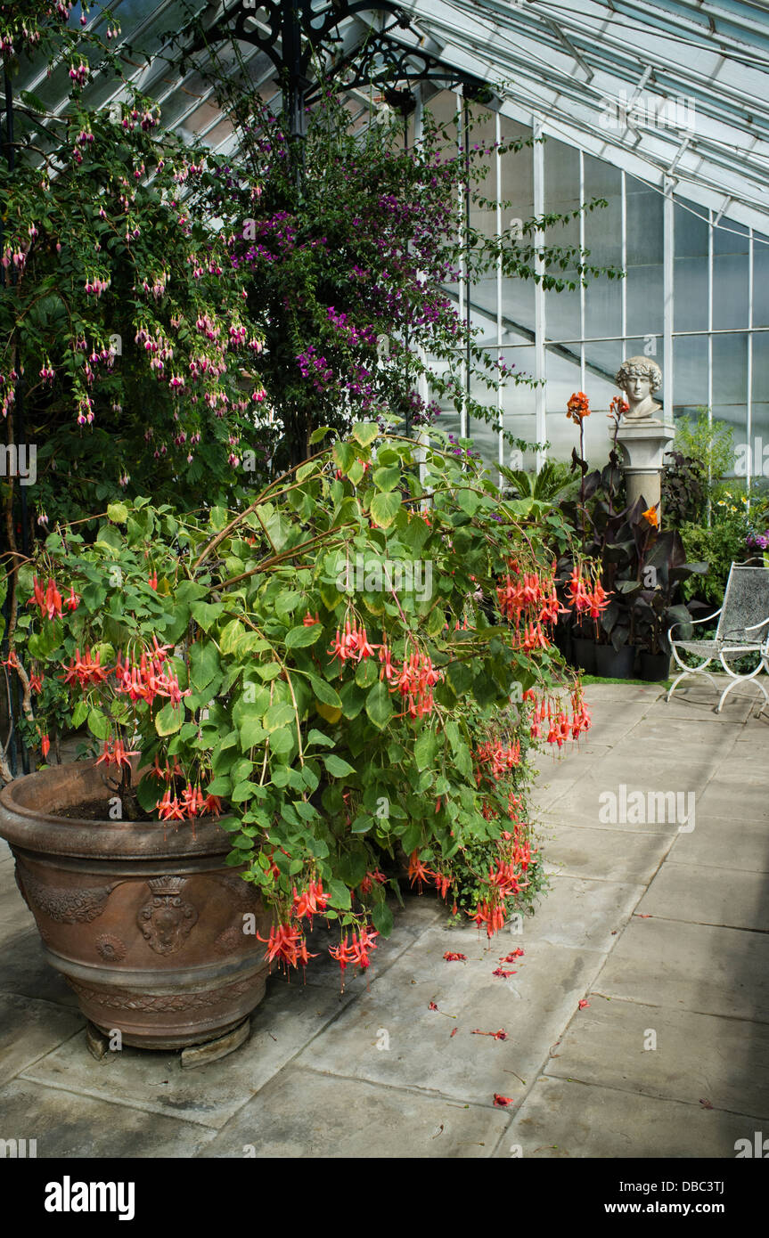 Edwardian conservatory hi-res stock photography and images - Alamy