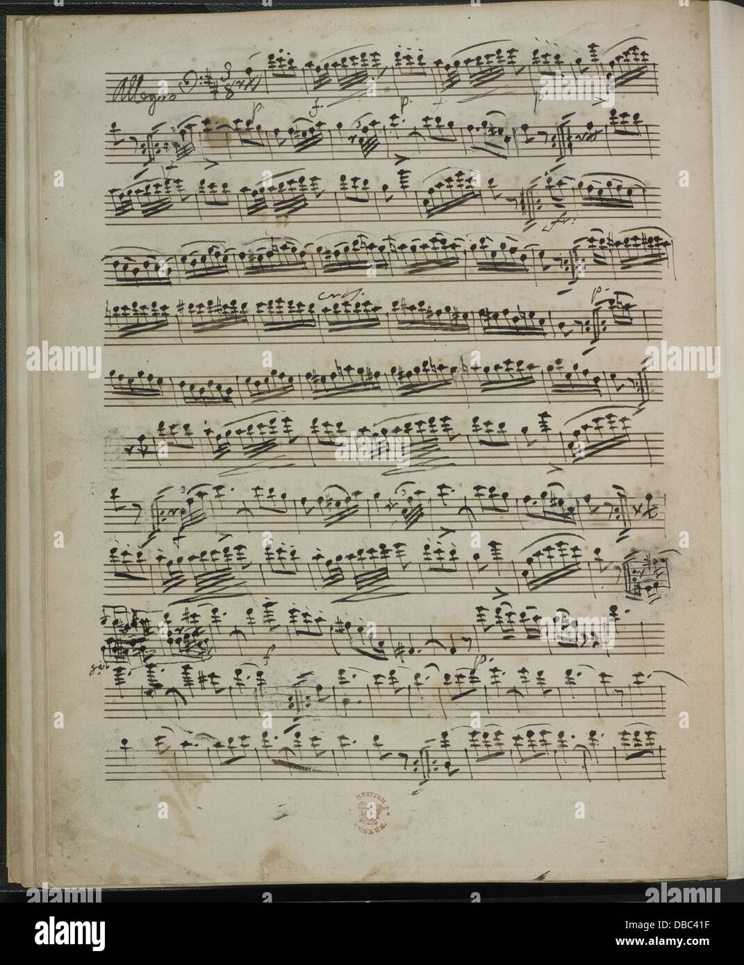 Classical double bass instrument hi-res stock photography and images ...