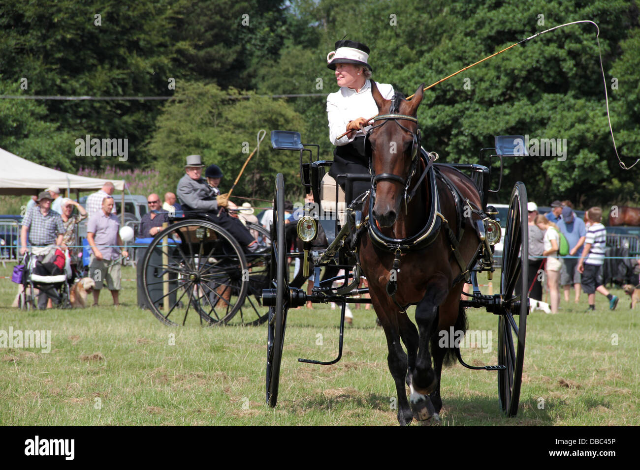 Horse drawn two wheeled white carriage hi-res stock photography and ...