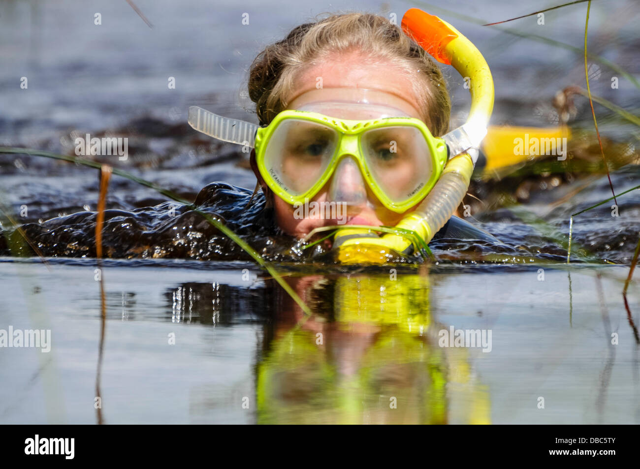 Dungannon park hi-res stock photography and images - Alamy