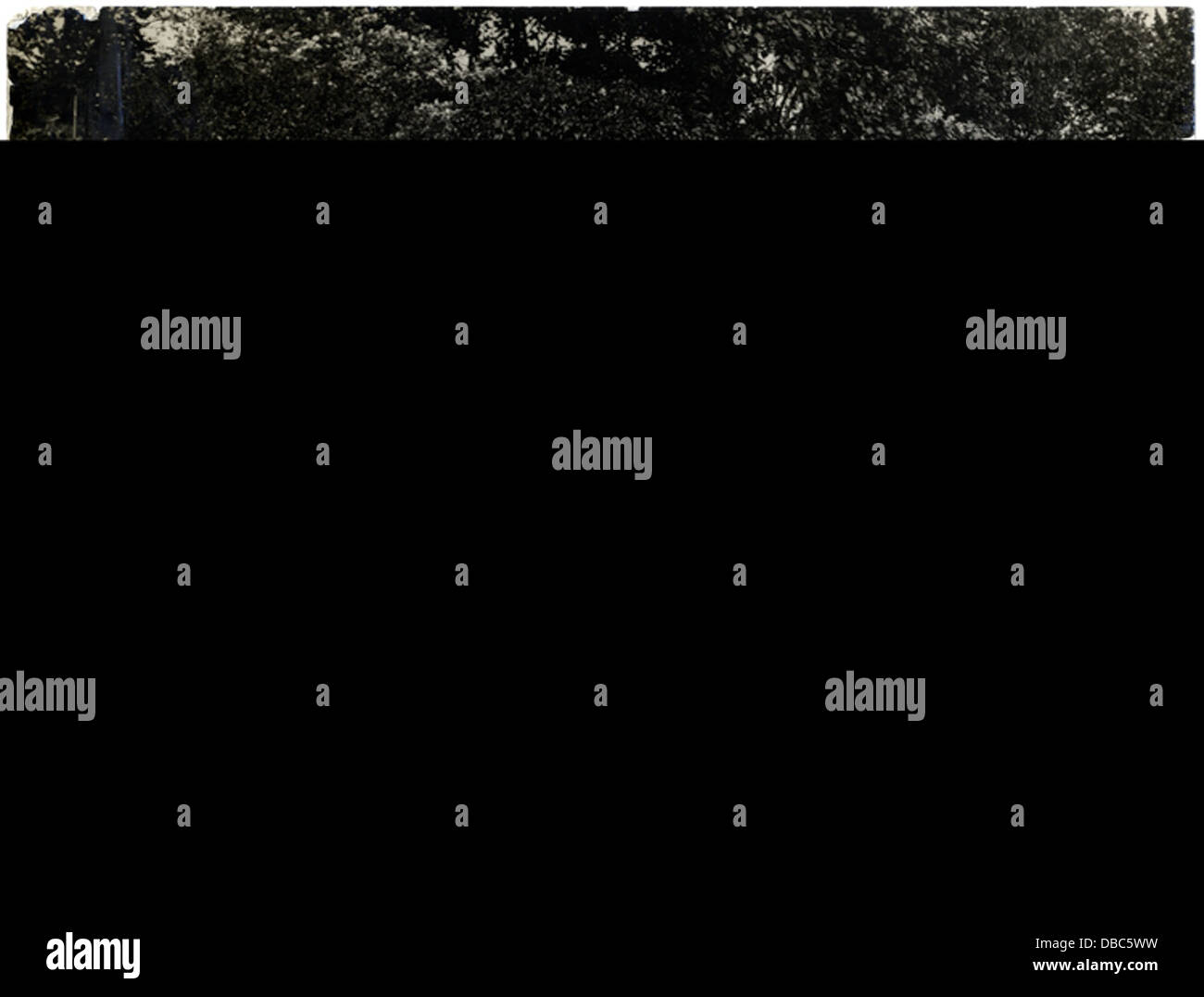 A photograph of General Sir James Willcocks with his staff and personal ...