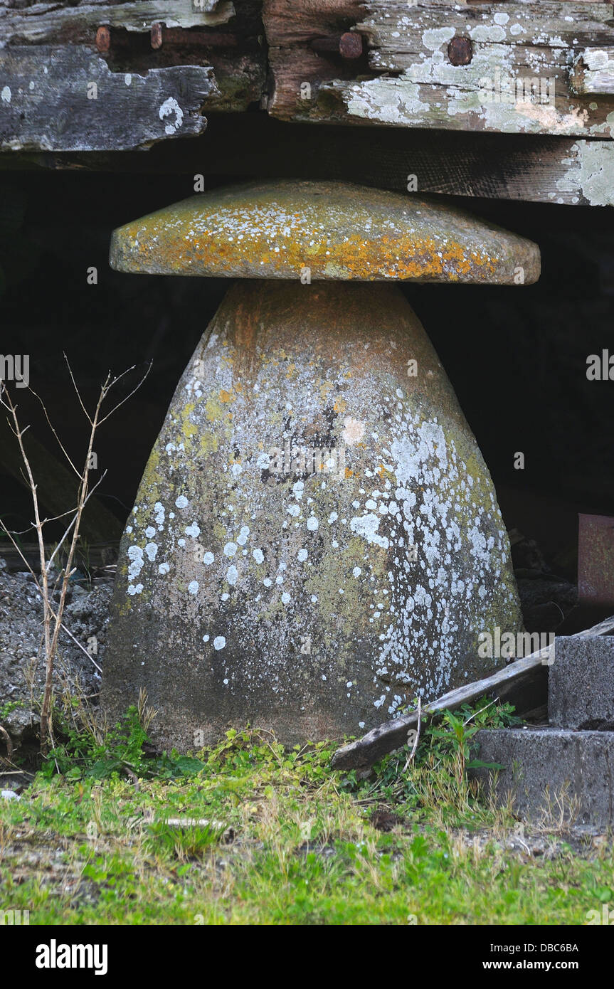 A staddle stone supporting a barn Dorset UK Stock Photo - Alamy