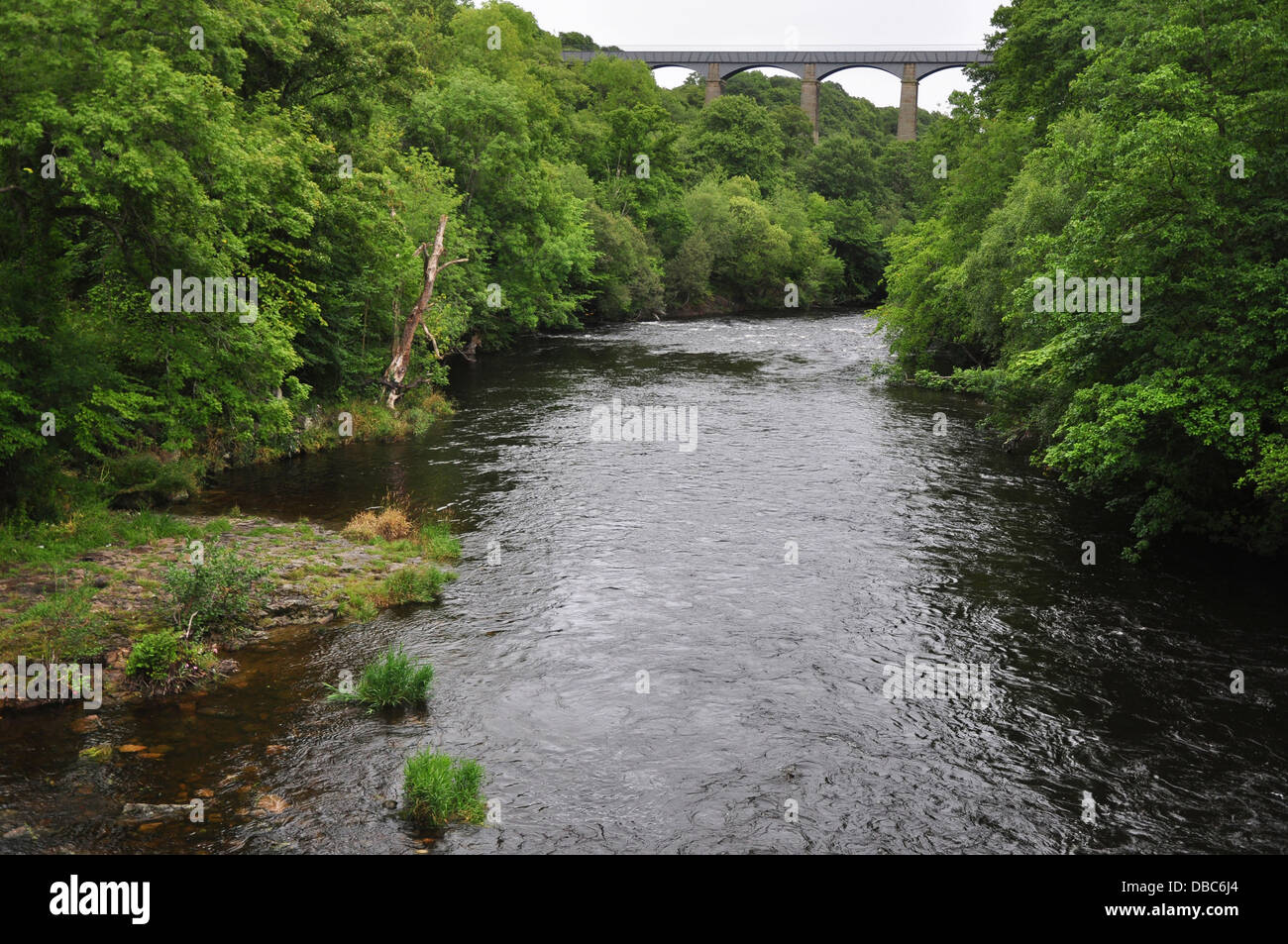 A view of the river Dee near Llangollen north Wales Stock Photo - Alamy