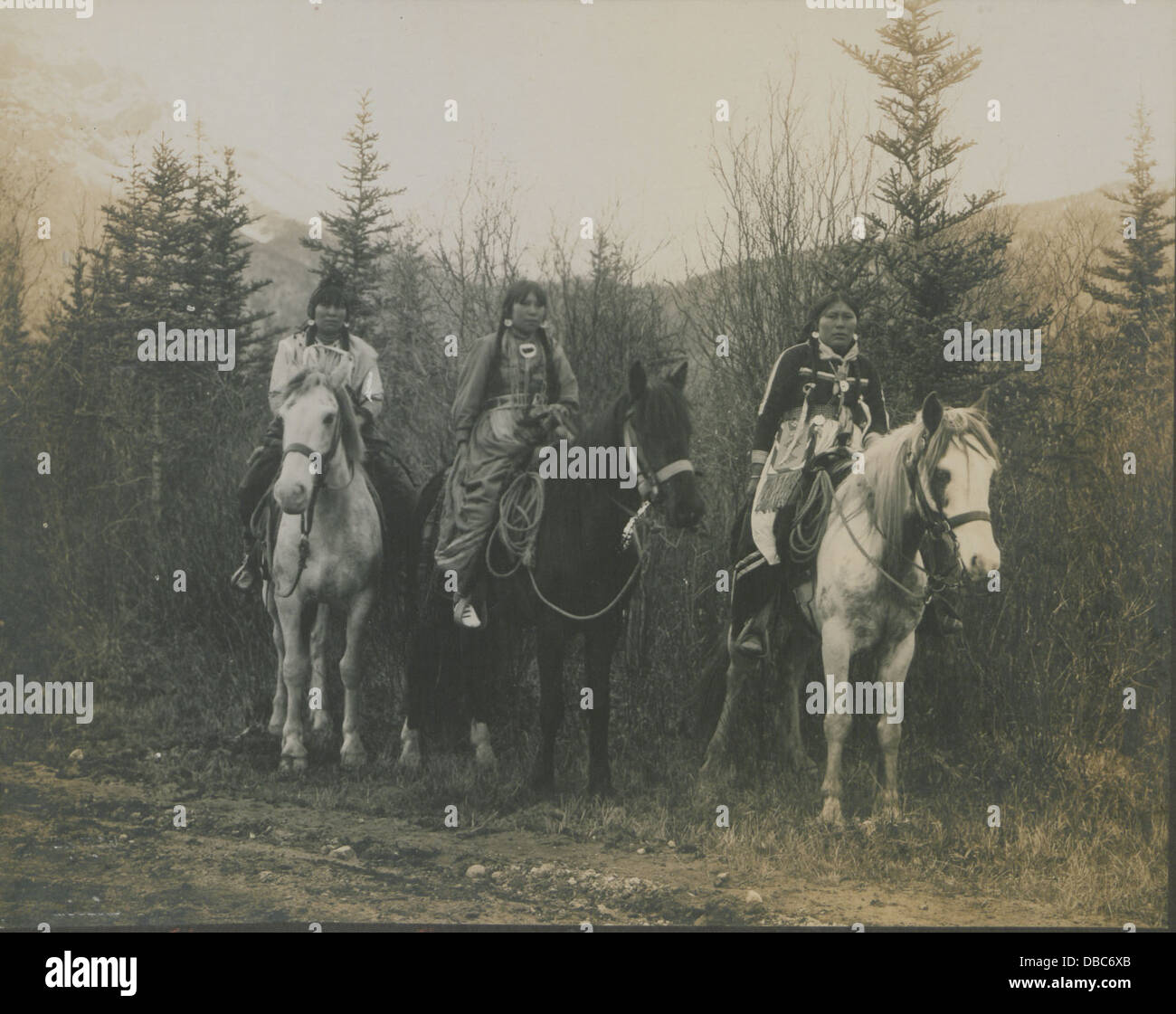 Gussie hi-res stock photography and images - Alamy