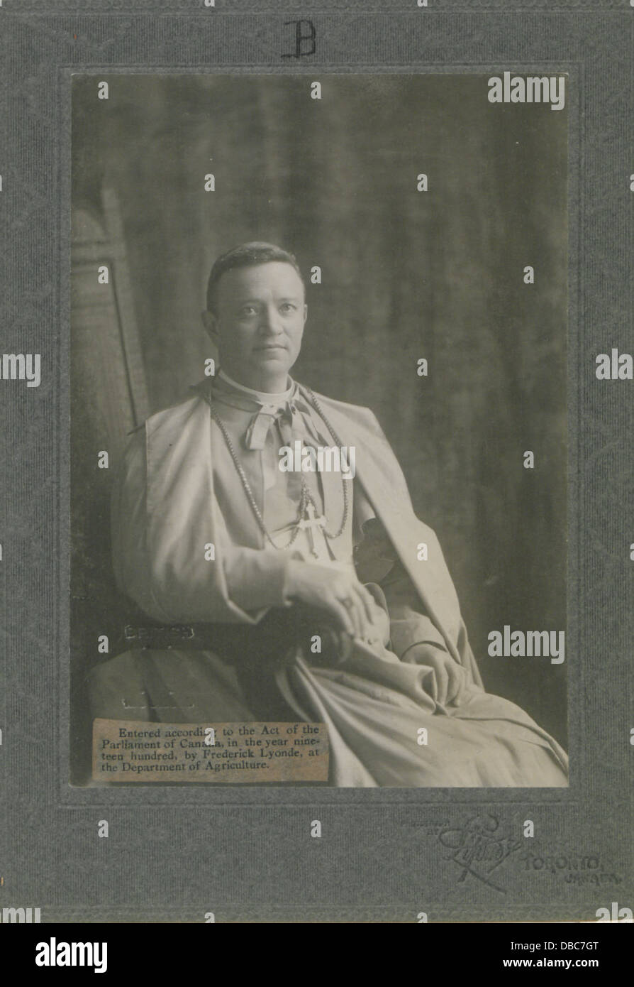 Falconio hi-res stock photography and images - Alamy