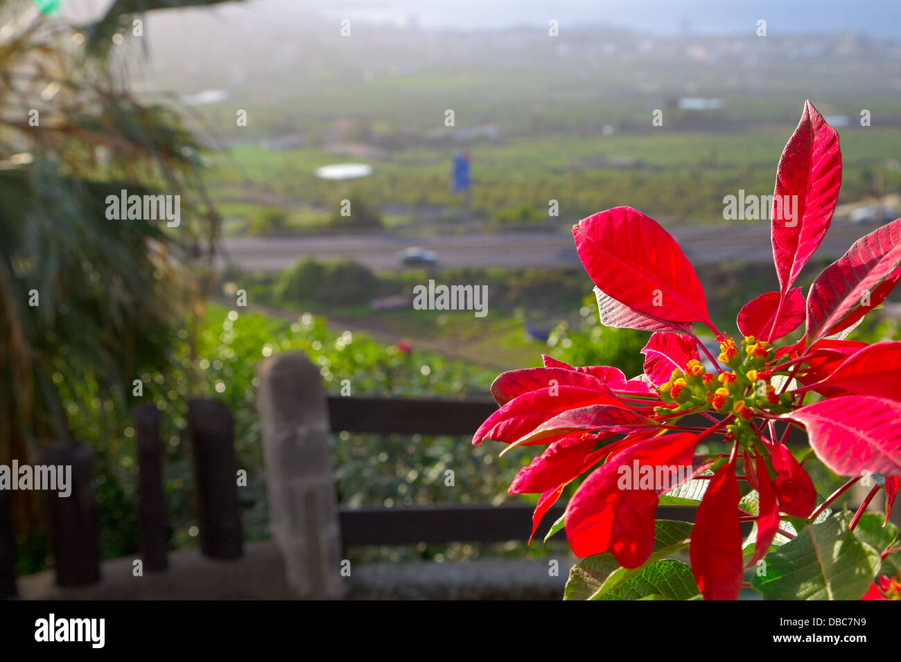 Christmas star bethlehem hi-res stock photography and images - Alamy