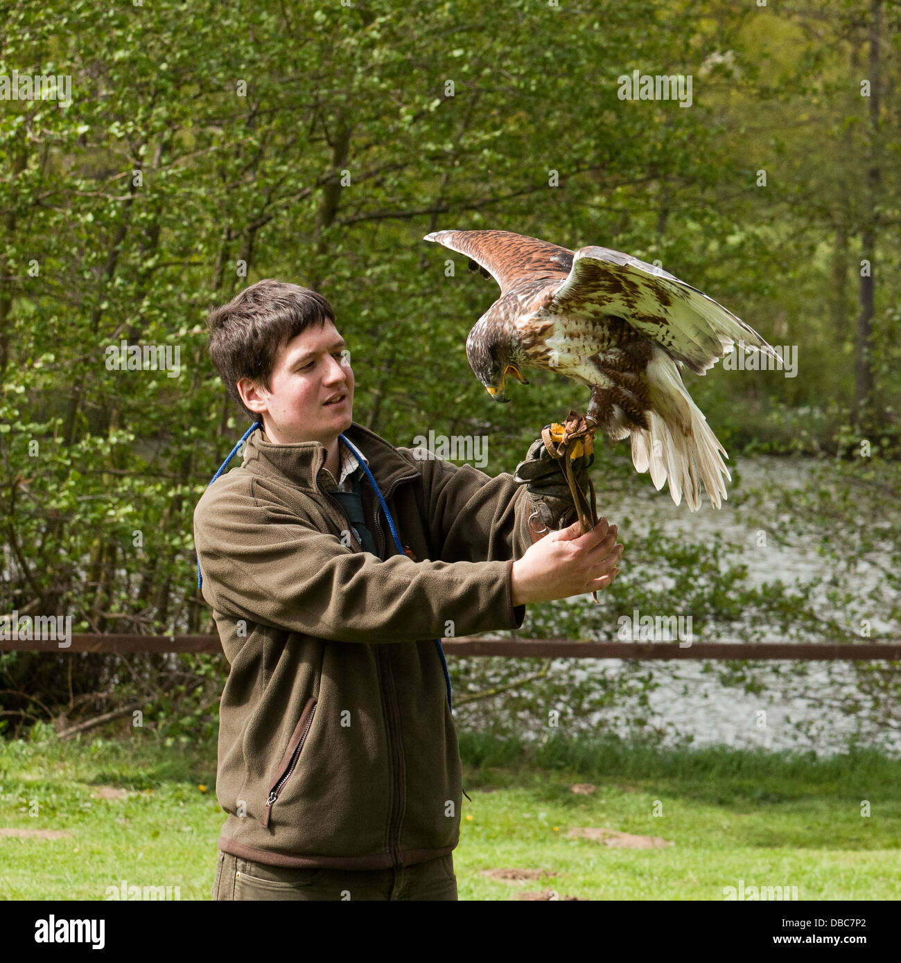 Hawk man hi-res stock photography and images - Alamy