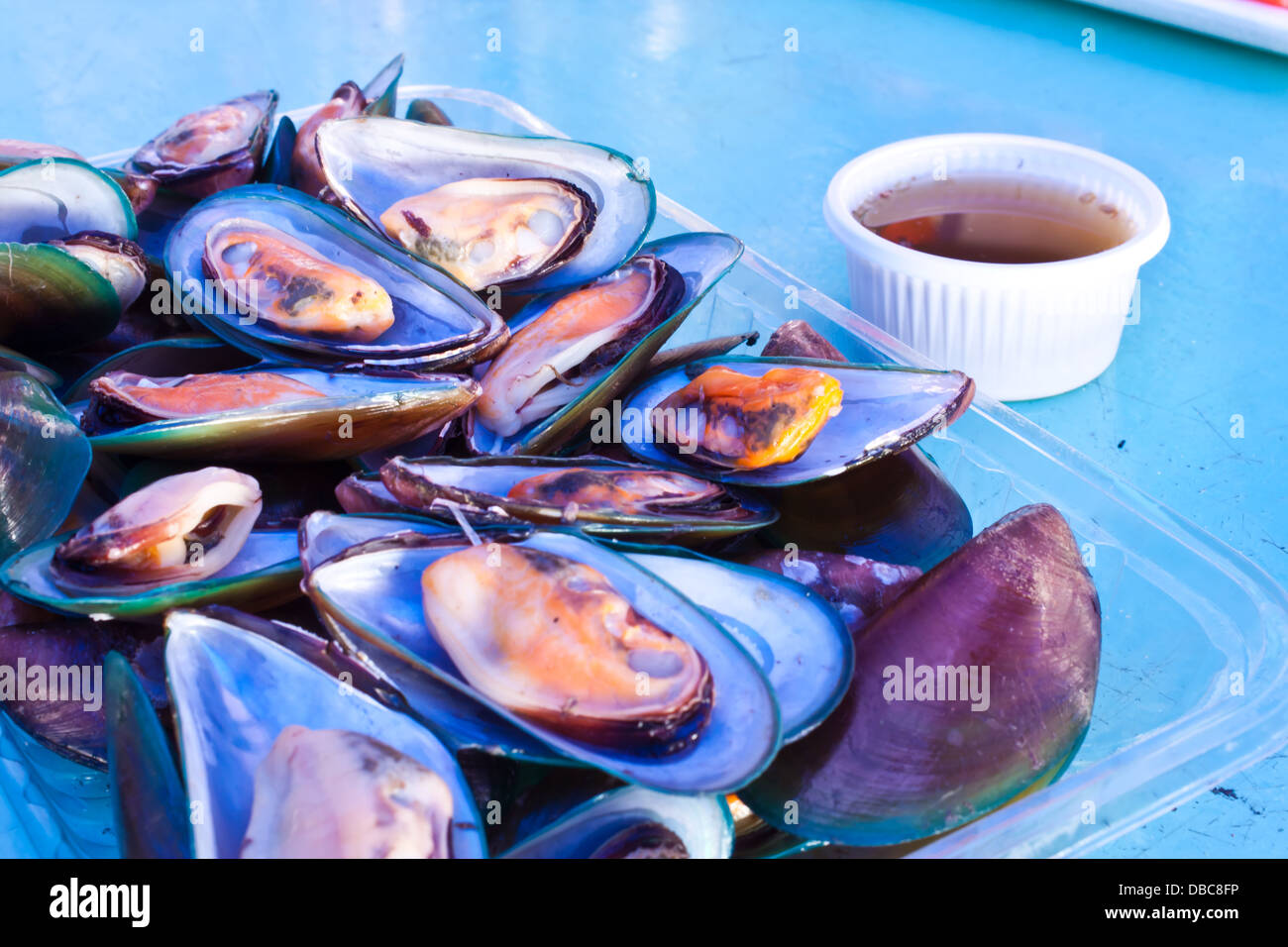 Baby mussels hi-res stock photography and images - Alamy