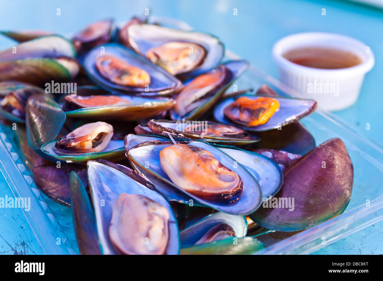 Baby mussels hi-res stock photography and images - Alamy