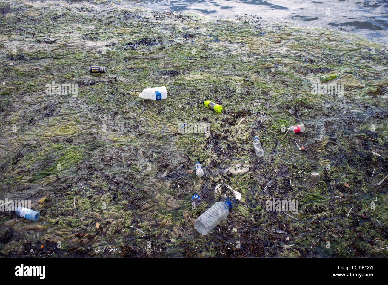 Water sewage rubbish hi-res stock photography and images - Alamy