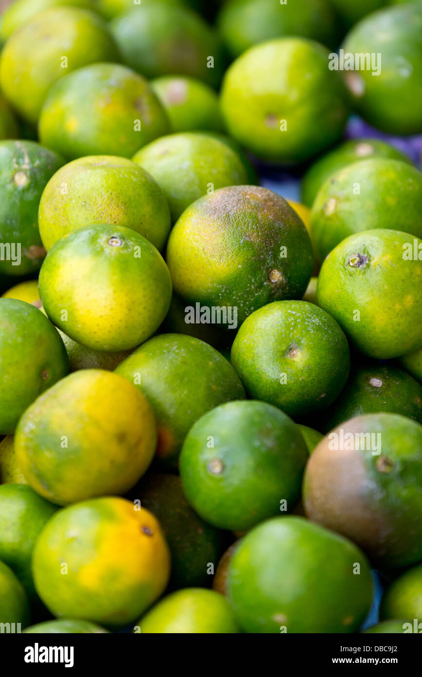 Lemons on Bohol Island, Philippines Stock Photo - Alamy