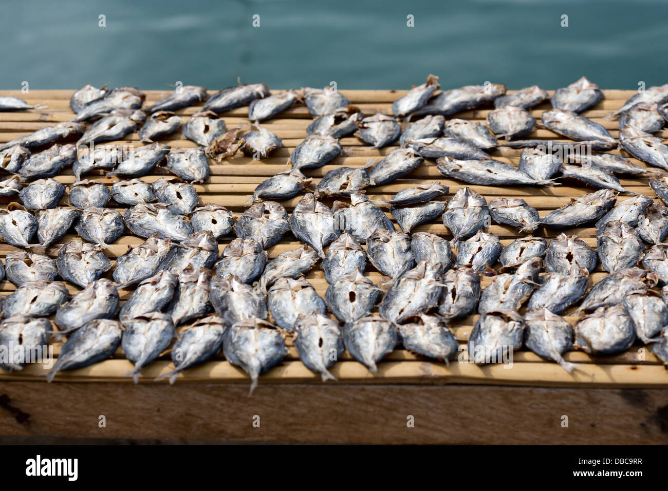 Fish market seafood philippines hi-res stock photography and images - Alamy