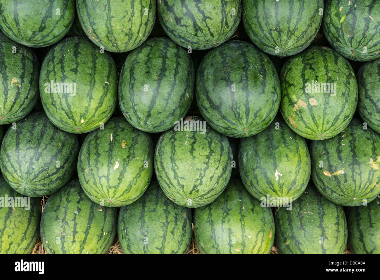 Fruitrow hi-res stock photography and images - Alamy