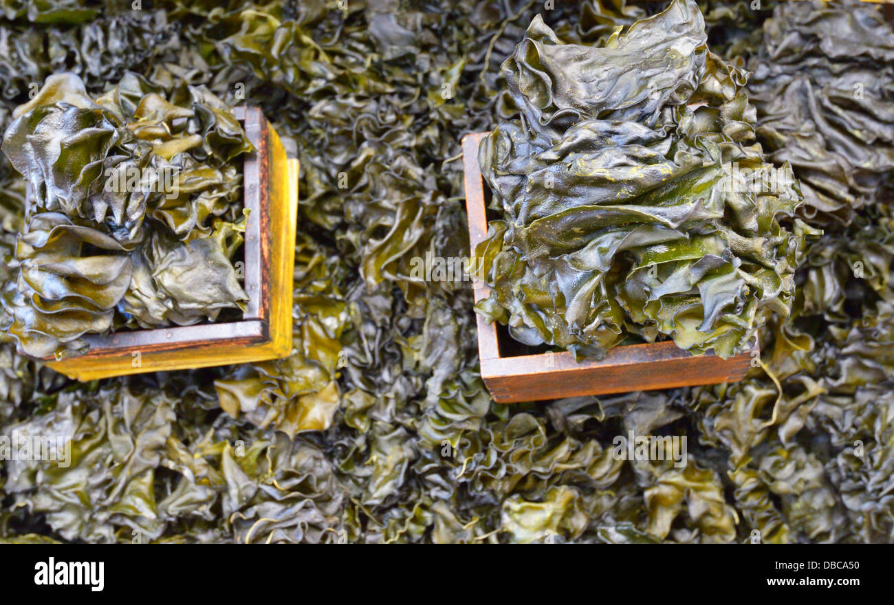Sea weed in Gwangjang Market in Seoul, South Korea Stock Photo - Alamy