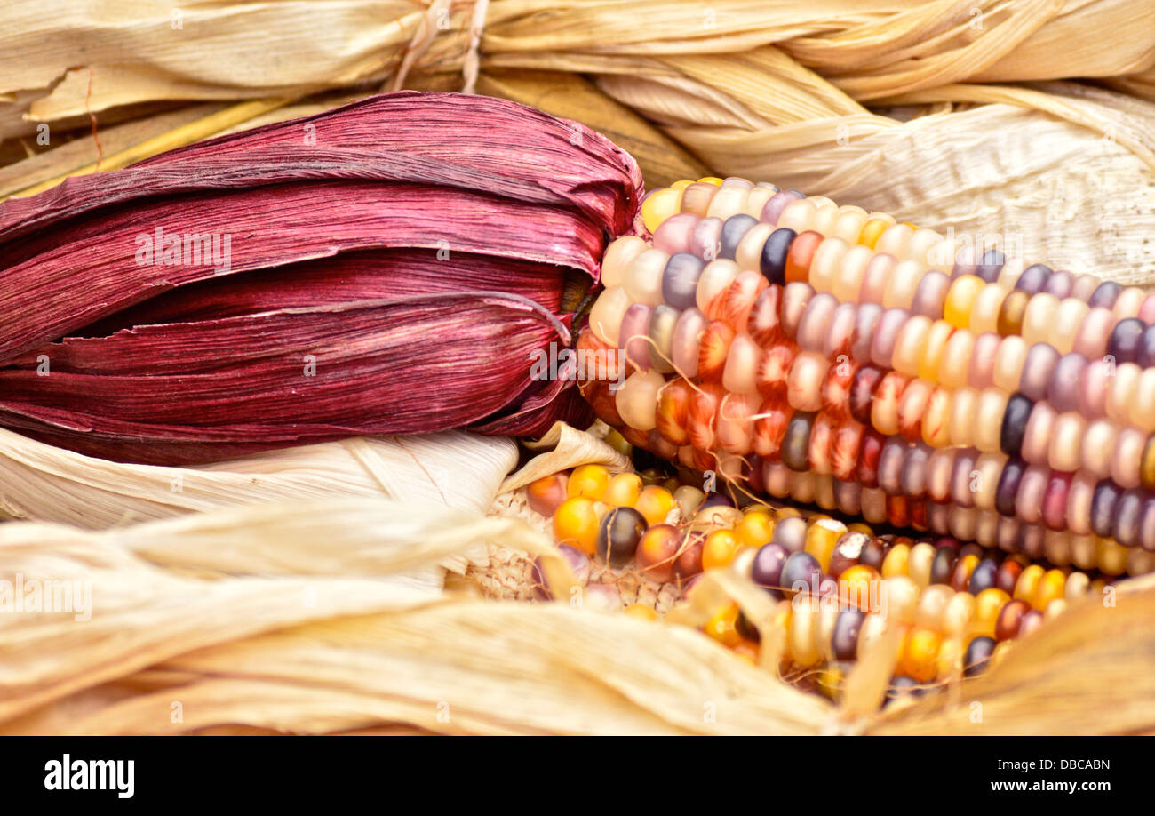 The fall is the perfect time to admire the beautiful colors and patters ...