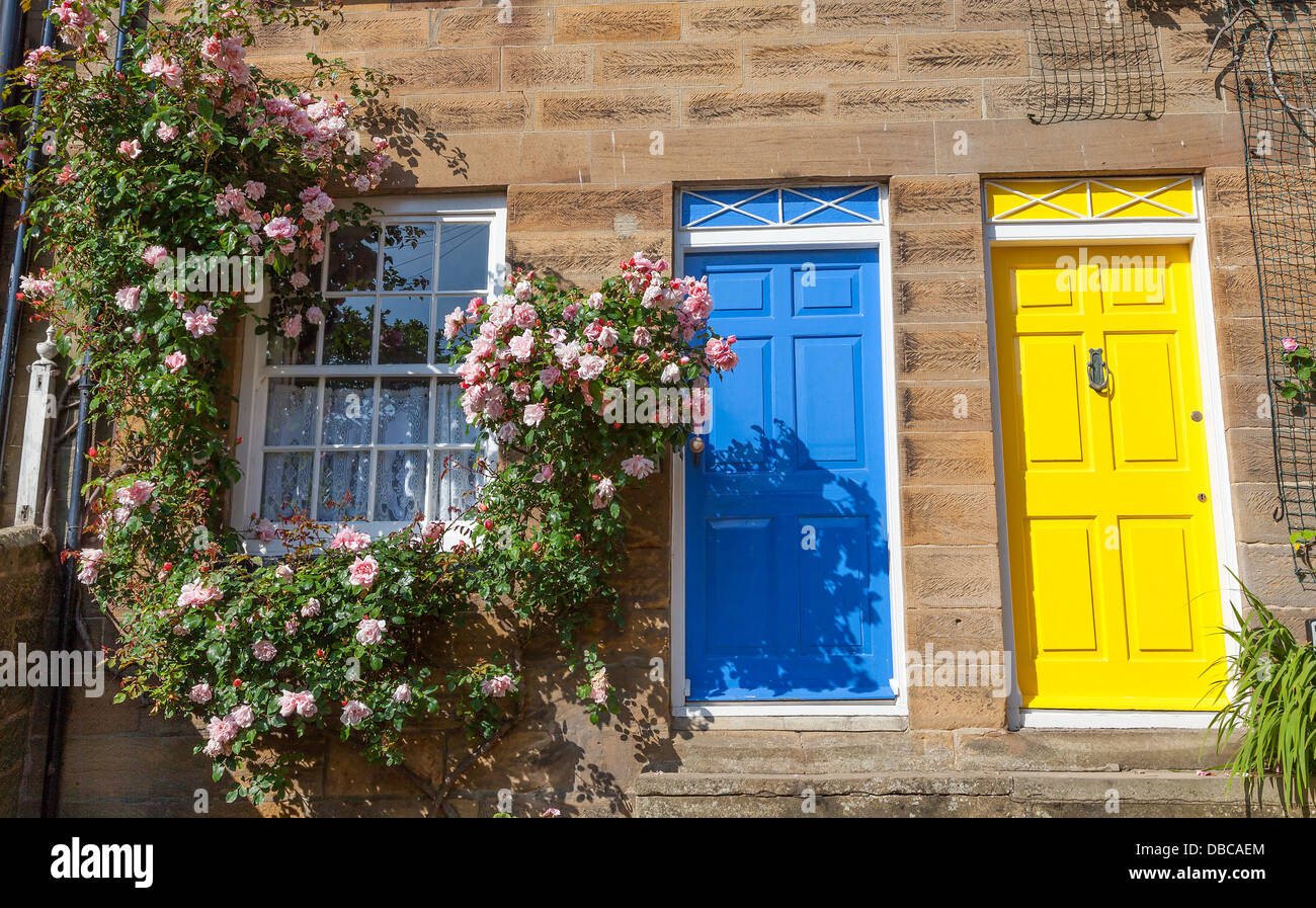 Terraced cottages with climbing roses on the front wall Stock Photo - Alamy