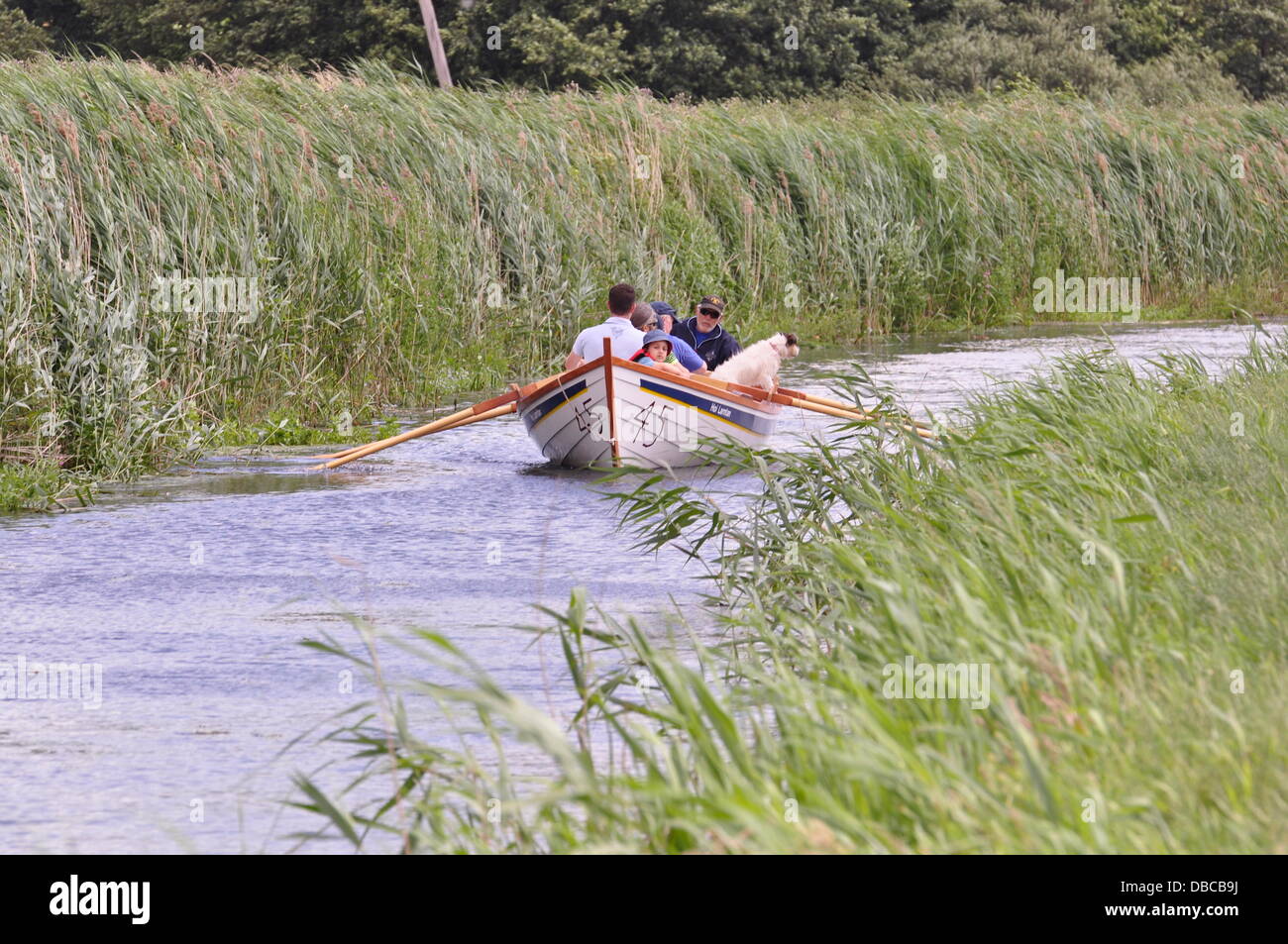 Norfolk, UK. 28th July, 2013. a St Ayles skiff on the North Walsham ...