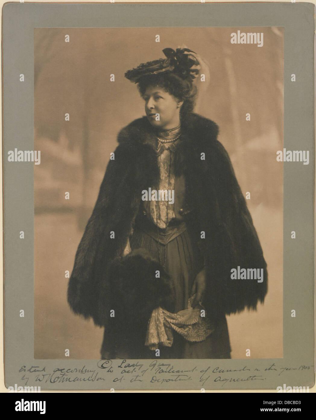 Lady Grey Photo C (HS85-10-15717 Stock Photo - Alamy