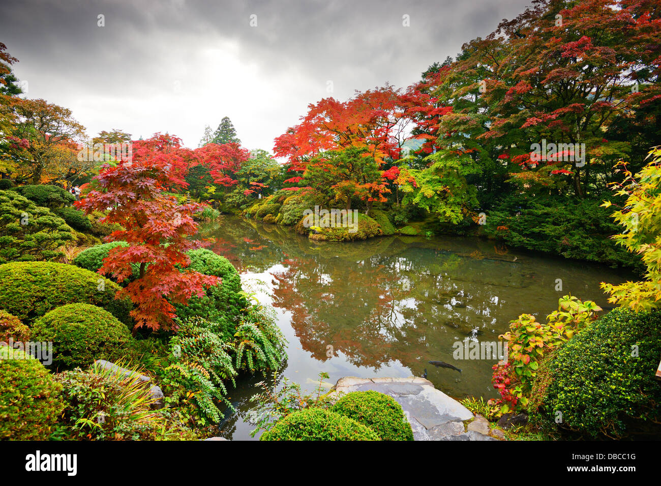 Autumn foliage in Nikko, Japan Stock Photo - Alamy