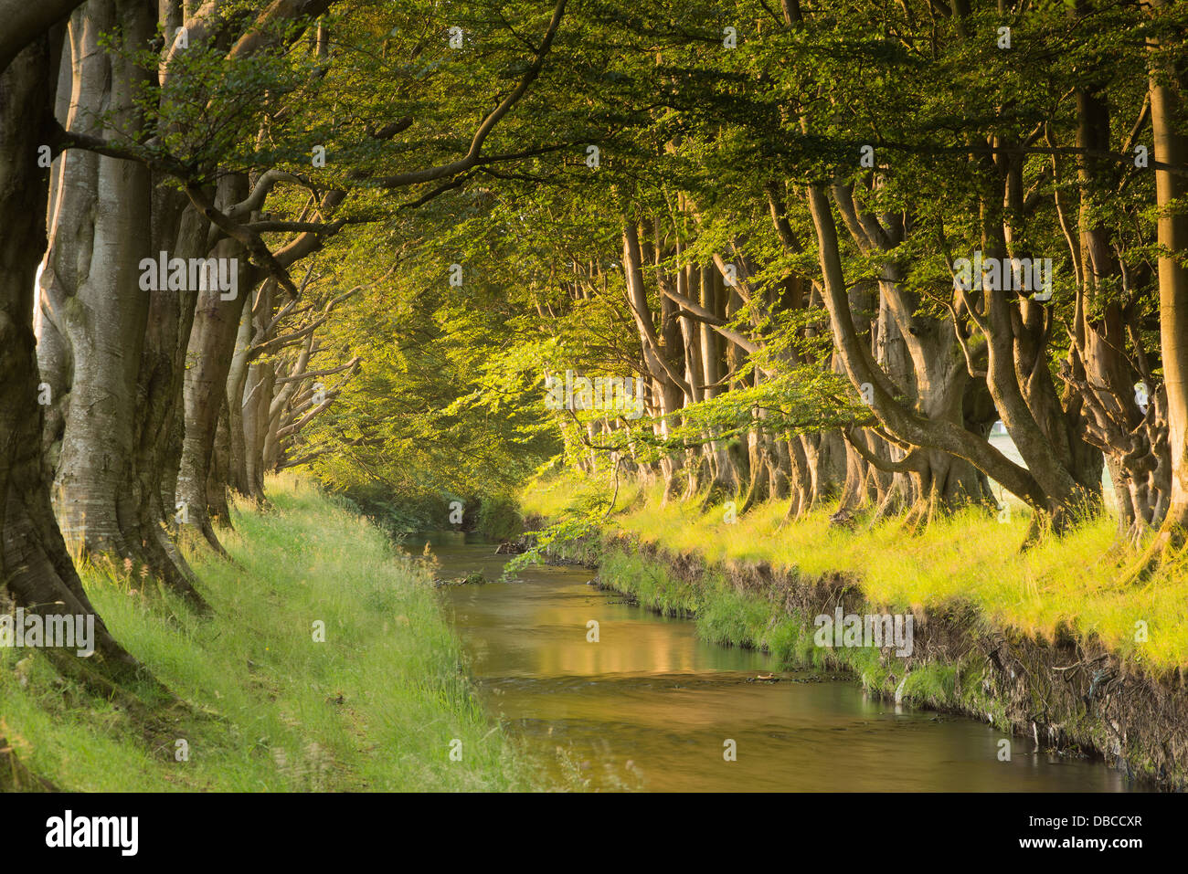 Templepatrick hi-res stock photography and images - Alamy