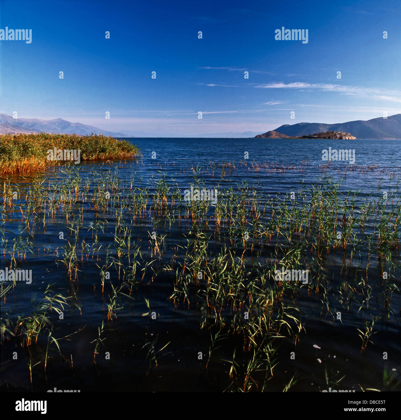 Prespa Lakes National Park High Resolution Stock Photography and Images ...