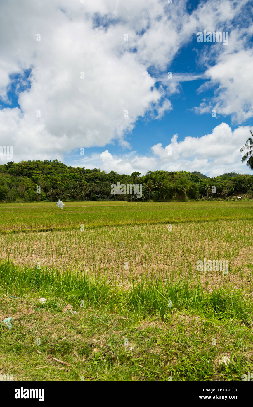 Bohol landscape hi-res stock photography and images - Alamy