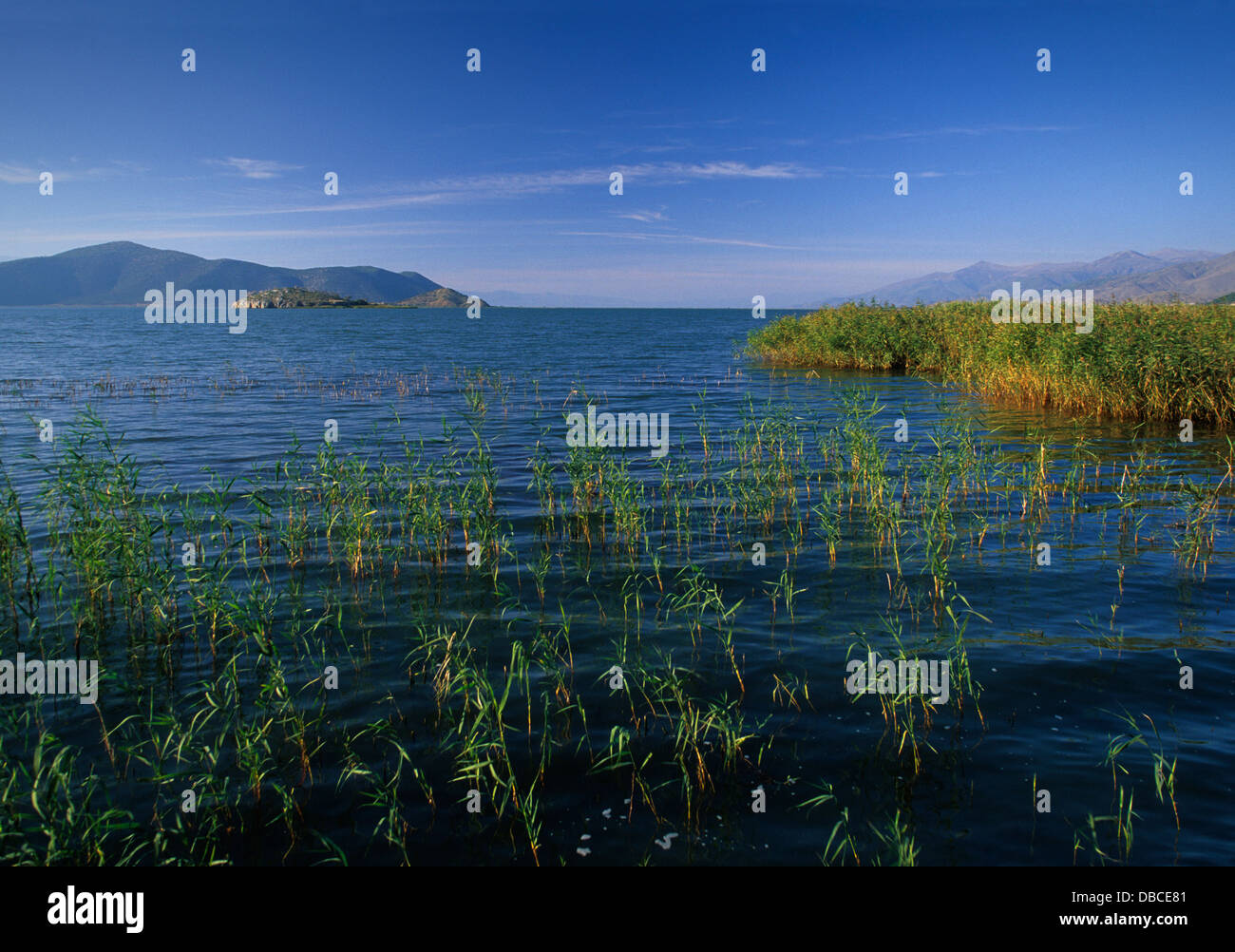 Prespa lakes national hi-res stock photography and images - Alamy