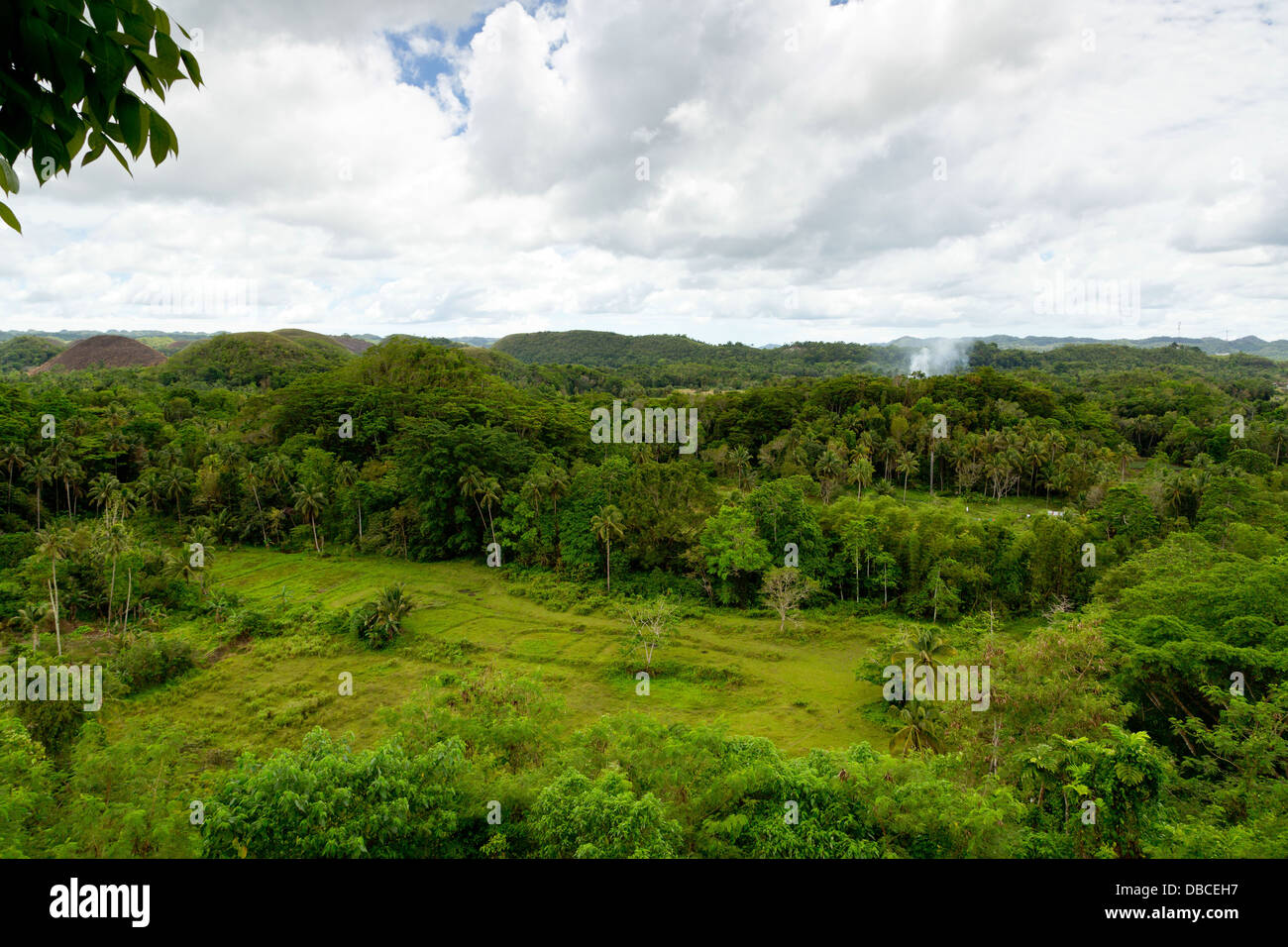 Typical Landscape on Bohol Island, Philippines Stock Photo - Alamy