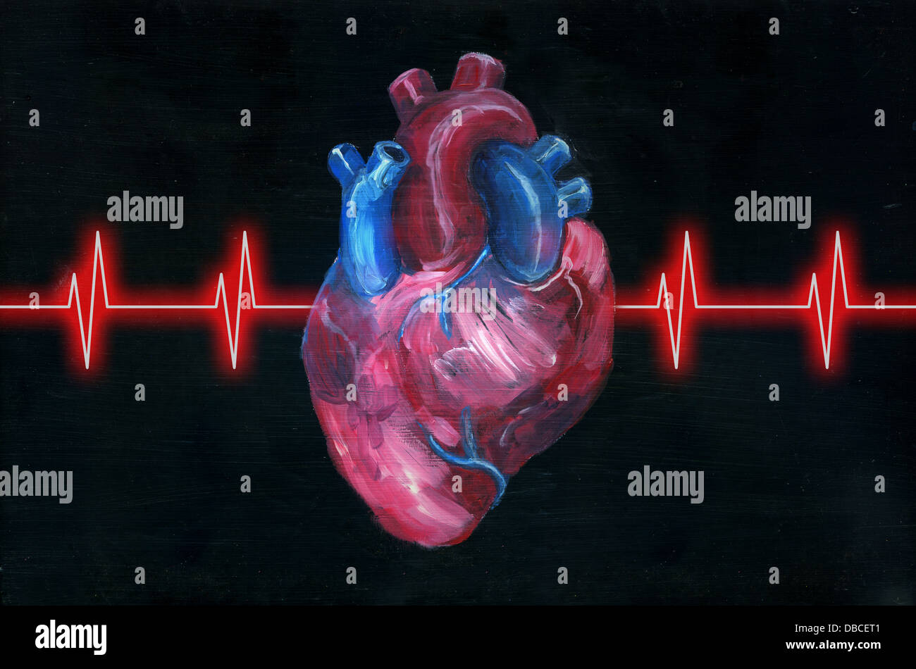 Illustration of human heart with pulse trace over black background ...