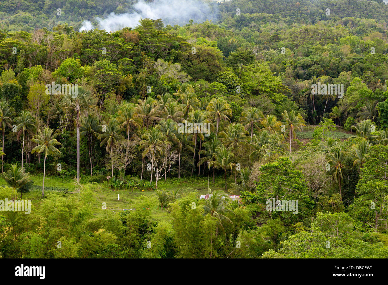 Typical Landscape on Bohol Island, Philippines Stock Photo - Alamy