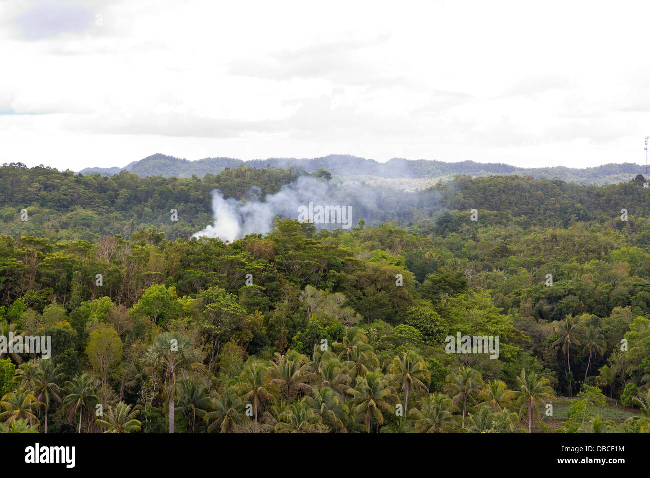 Typical Landscape on Bohol Island, Philippines Stock Photo - Alamy