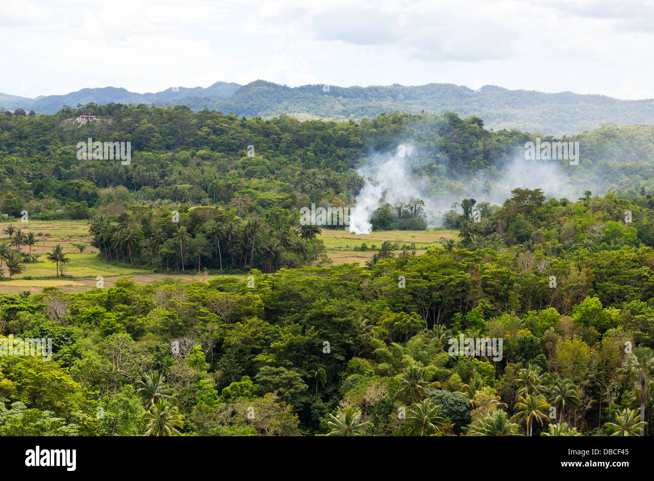 Typical Landscape on Bohol Island, Philippines Stock Photo - Alamy