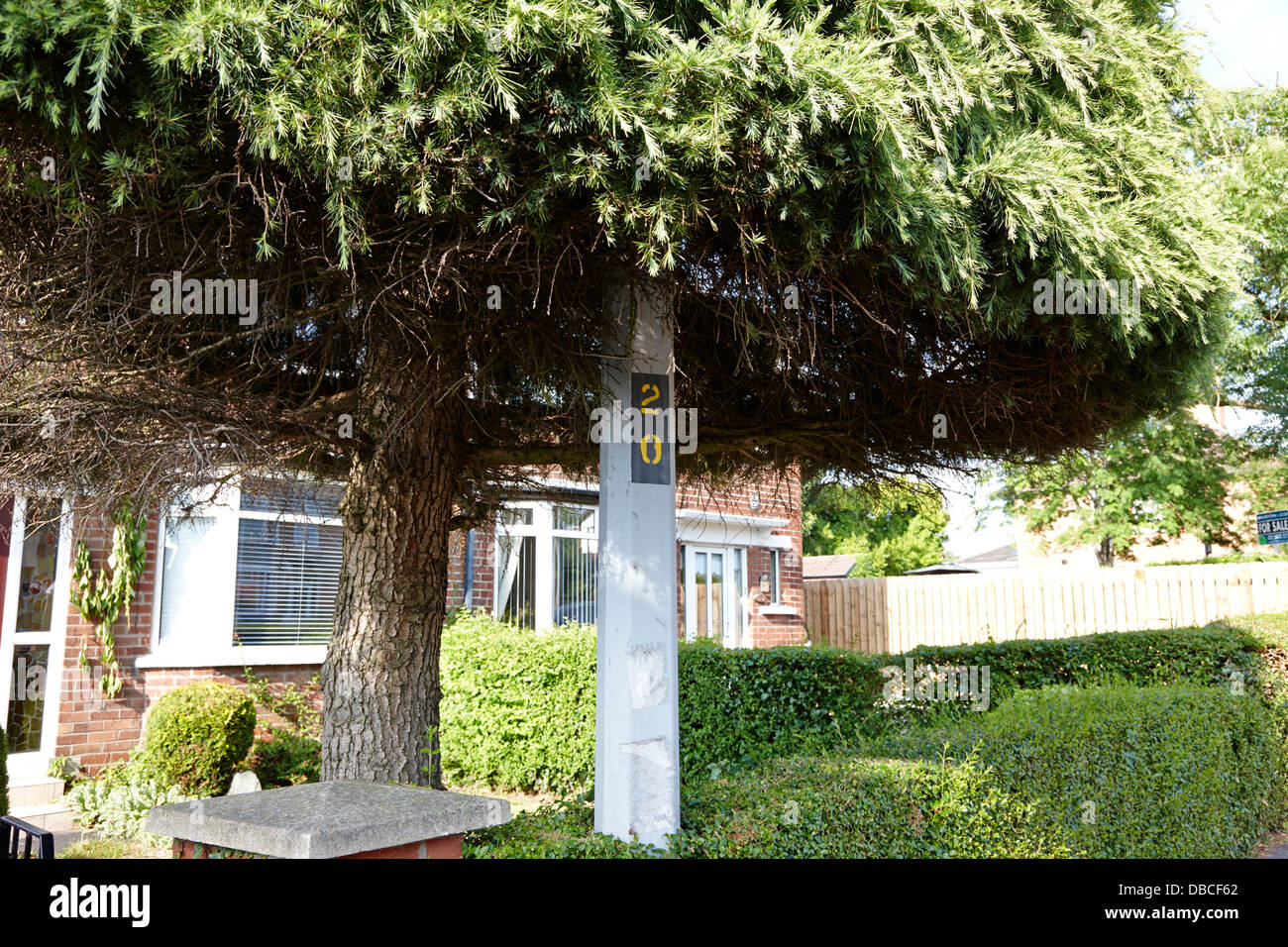 Tree growing around metal hi-res stock photography and images - Alamy
