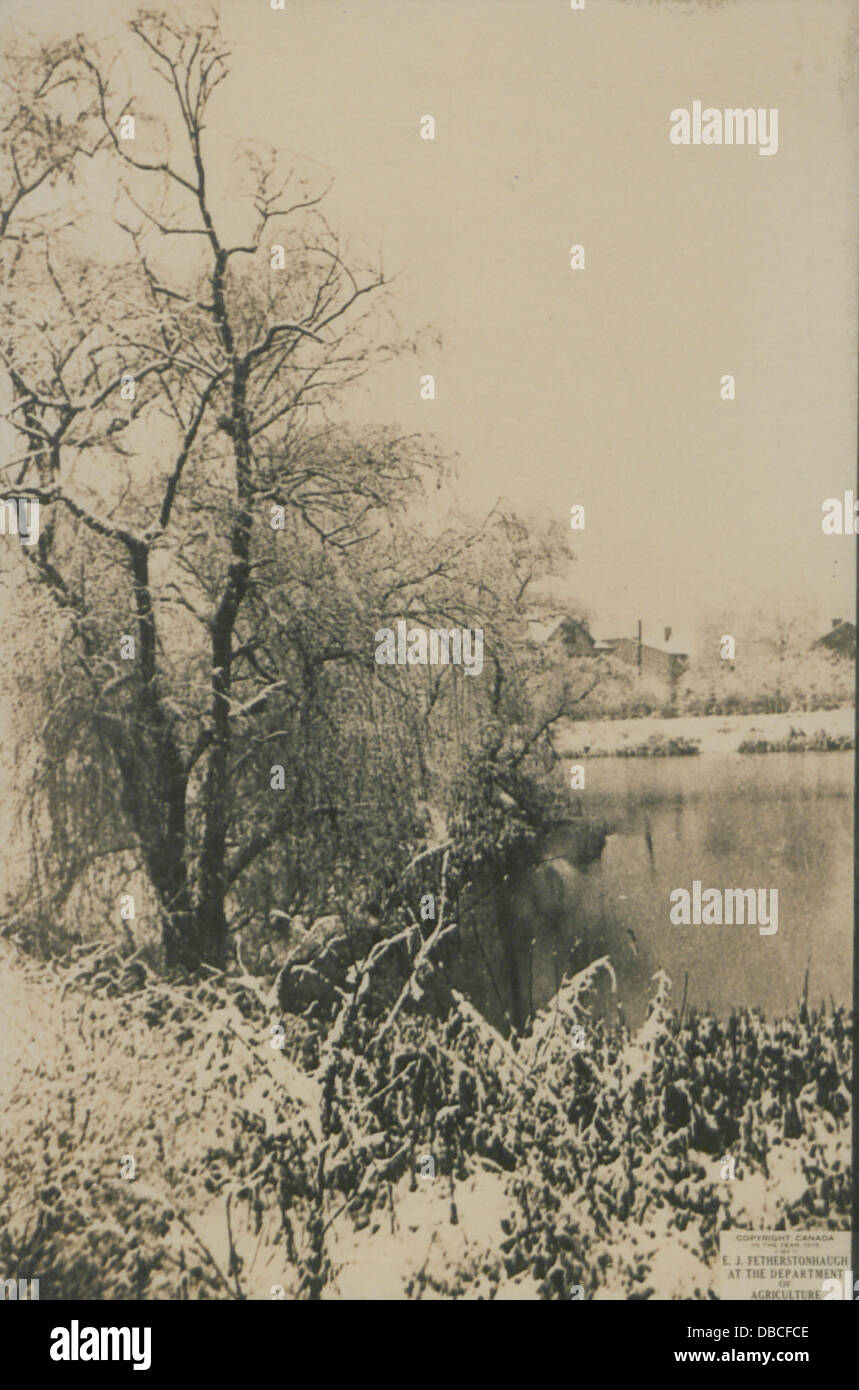 This image captures what is referred to as a mystic apparition of ...