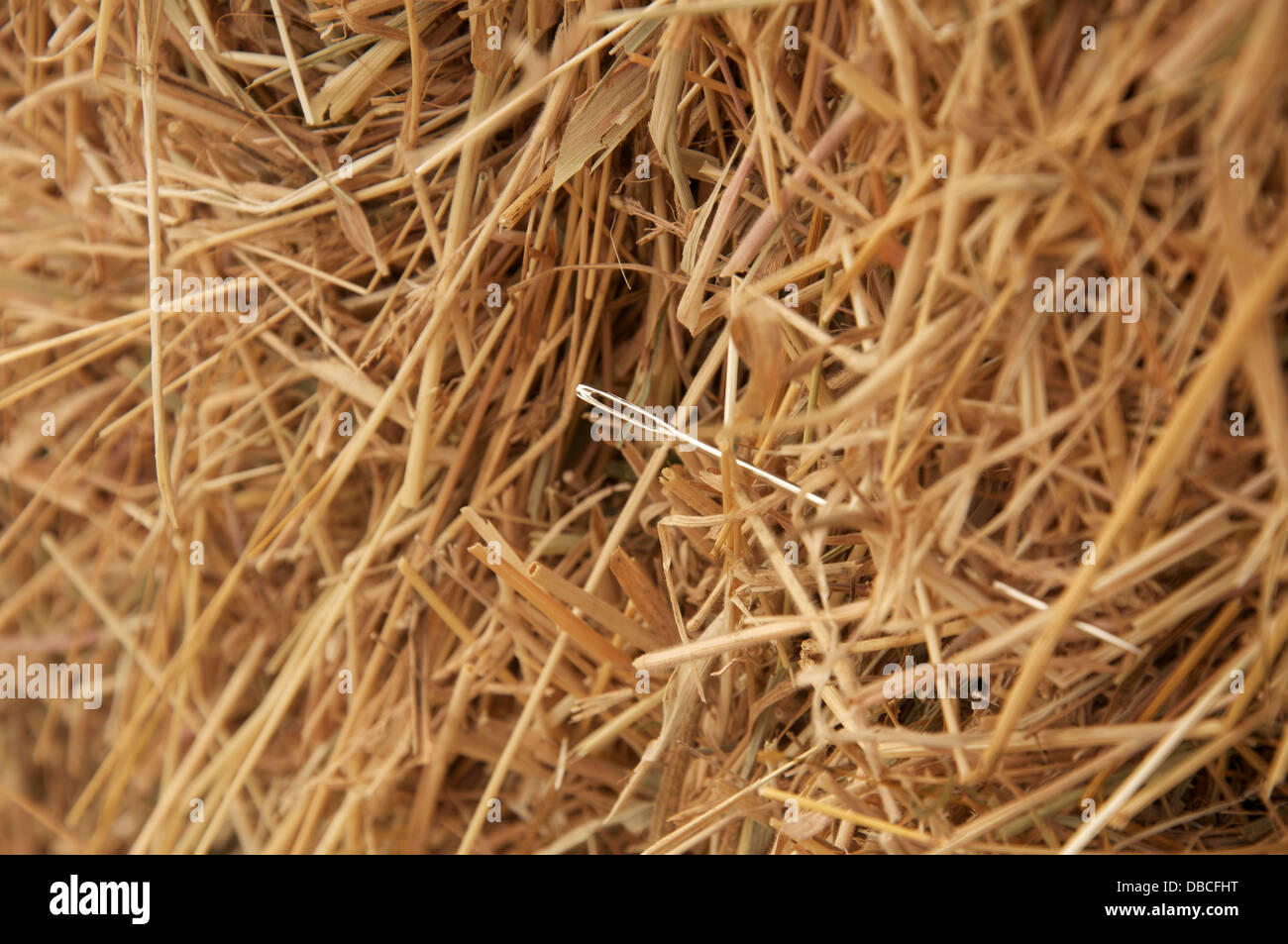Concept. "Looking for a needle in a haystack": A saying and metaphor ...