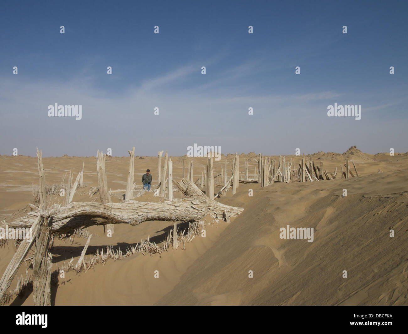 Niya hi-res stock photography and images - Alamy