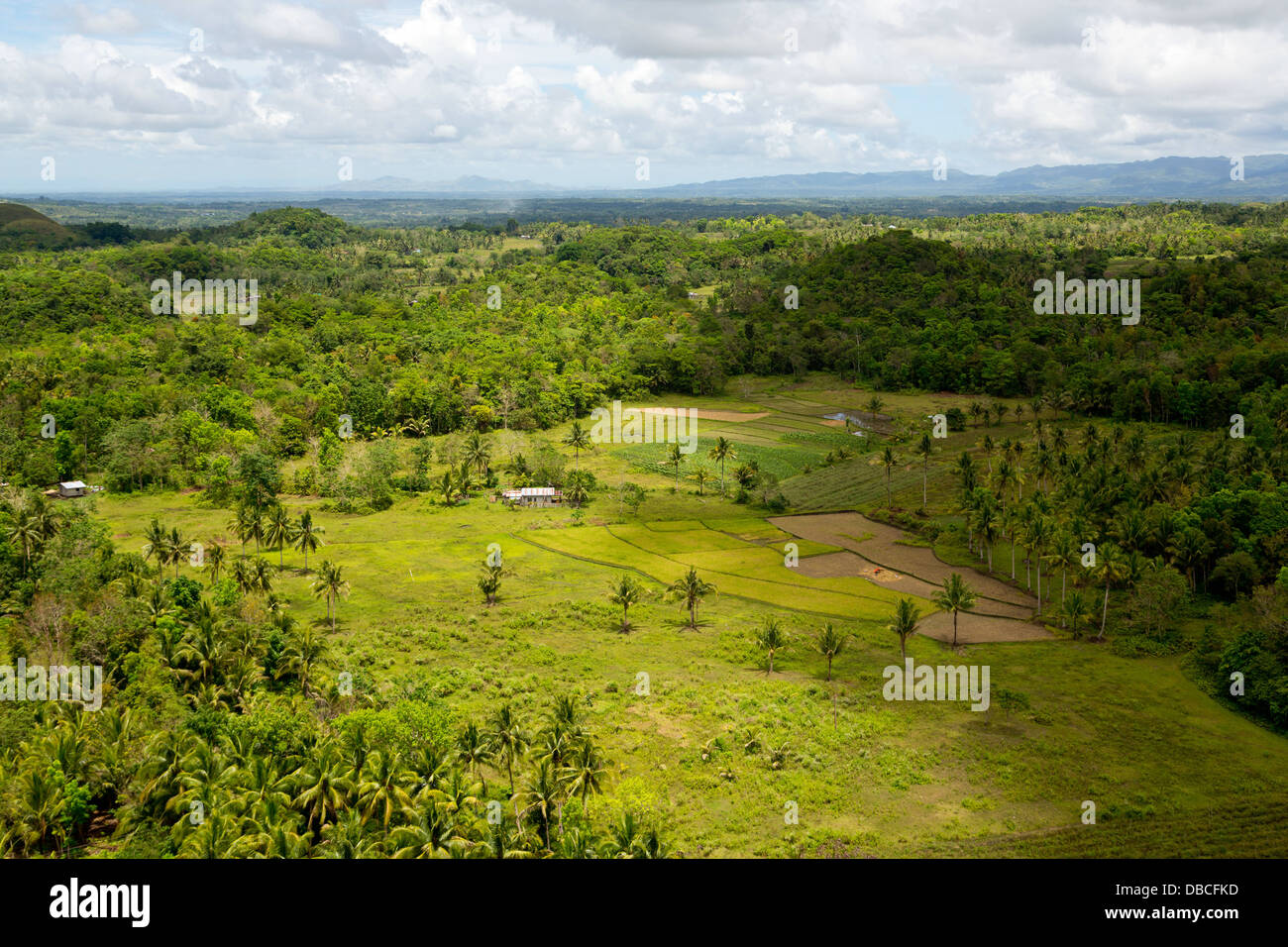 Typical Landscape on Bohol Island, Philippines Stock Photo - Alamy
