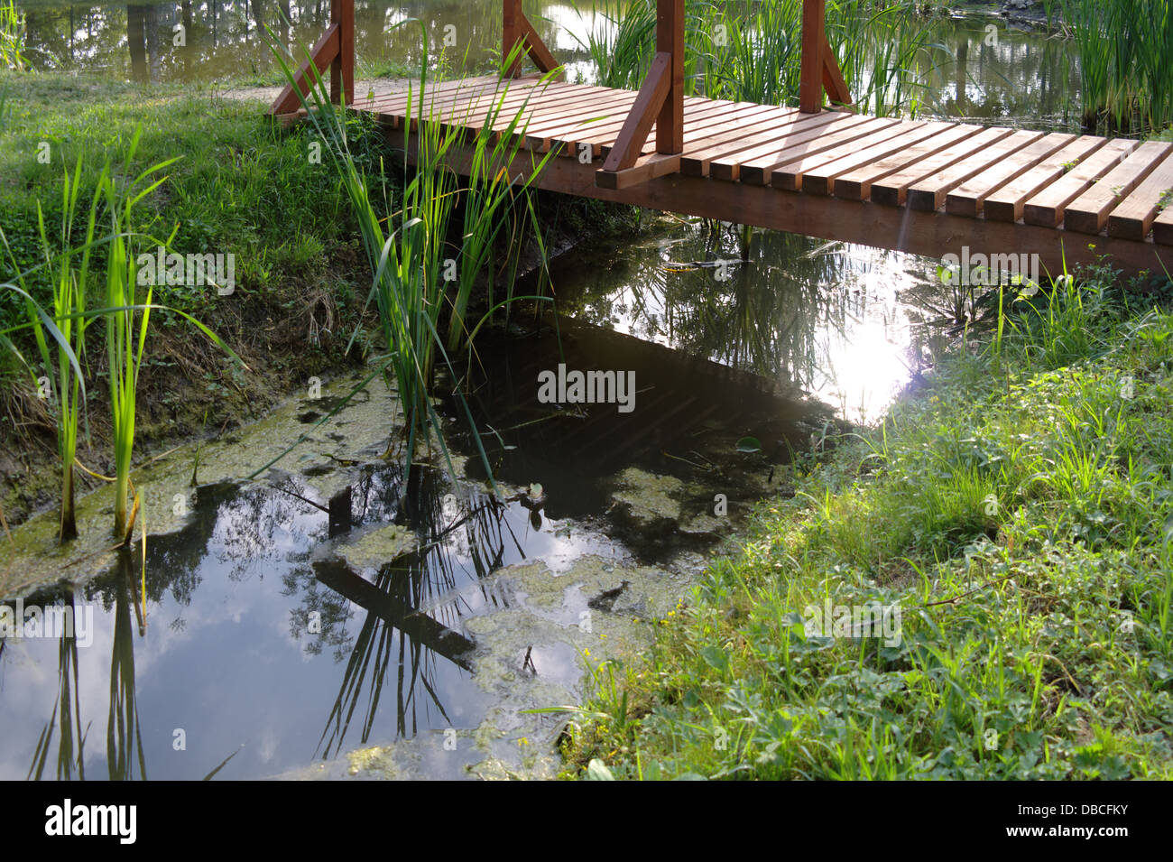 marsh with footbridge Stock Photo - Alamy
