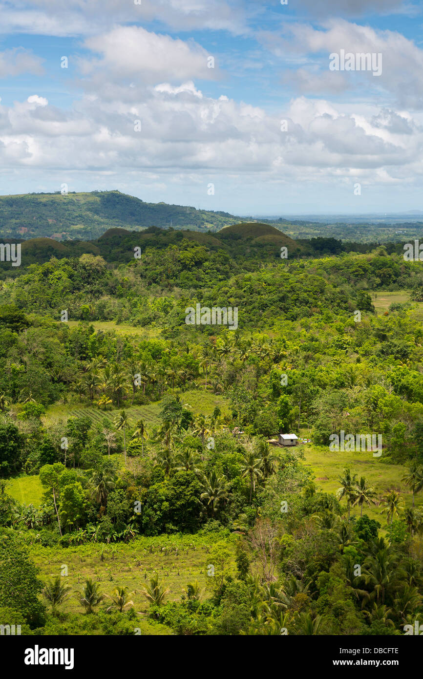 Typical Landscape on Bohol Island, Philippines Stock Photo - Alamy