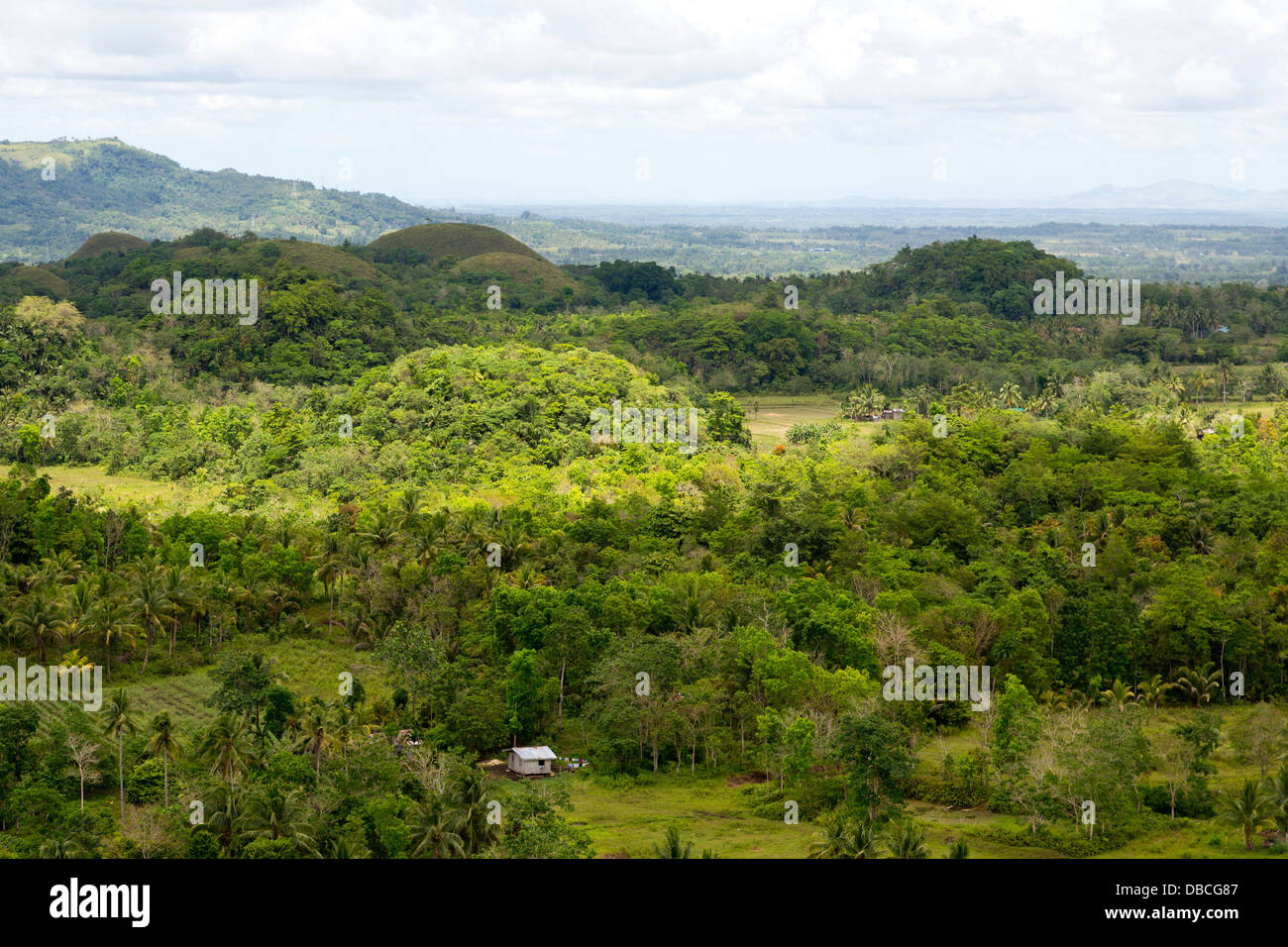 Typical Landscape on Bohol Island, Philippines Stock Photo - Alamy