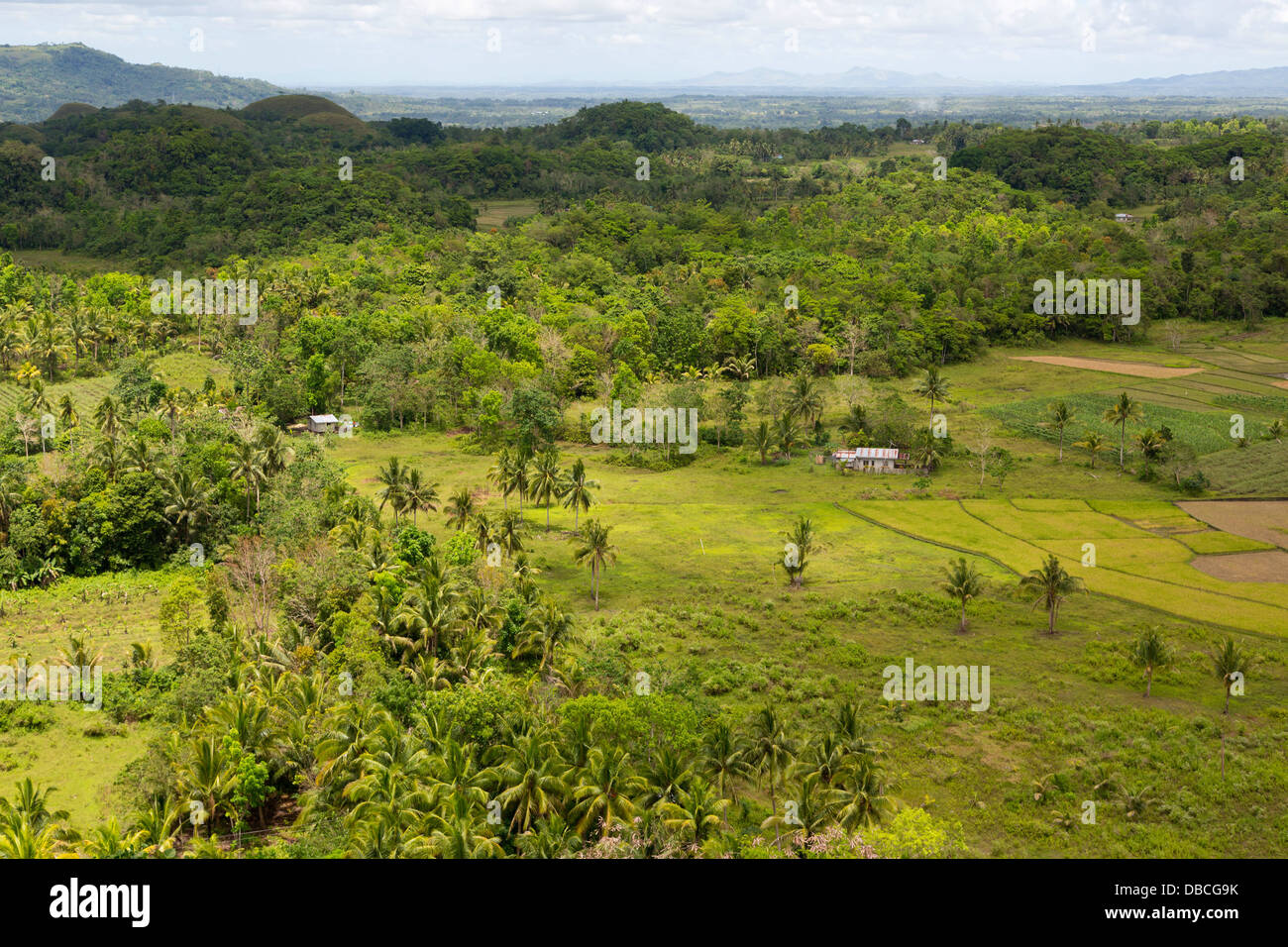 Typical Landscape on Bohol Island, Philippines Stock Photo - Alamy