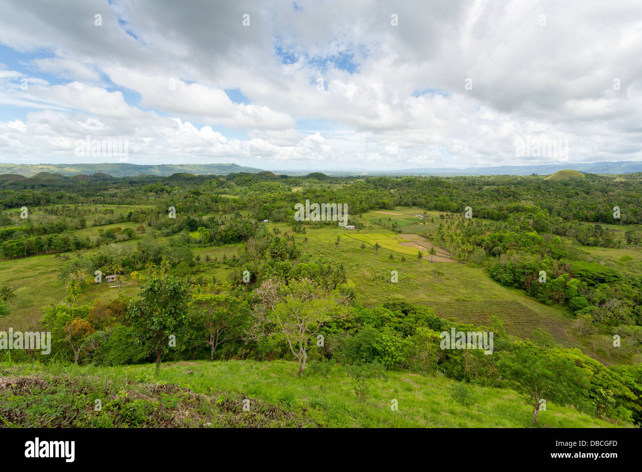 Typical Landscape on Bohol Island, Philippines Stock Photo - Alamy