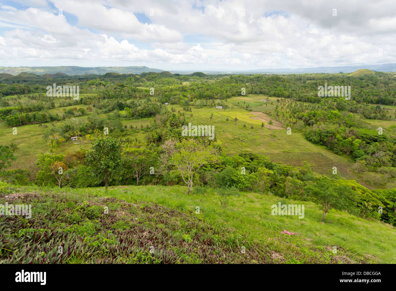 Typical Landscape on Bohol Island, Philippines Stock Photo - Alamy