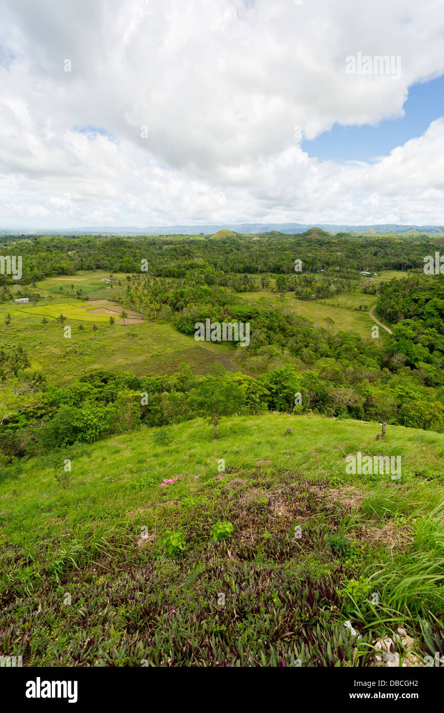 Typical Landscape on Bohol Island, Philippines Stock Photo - Alamy