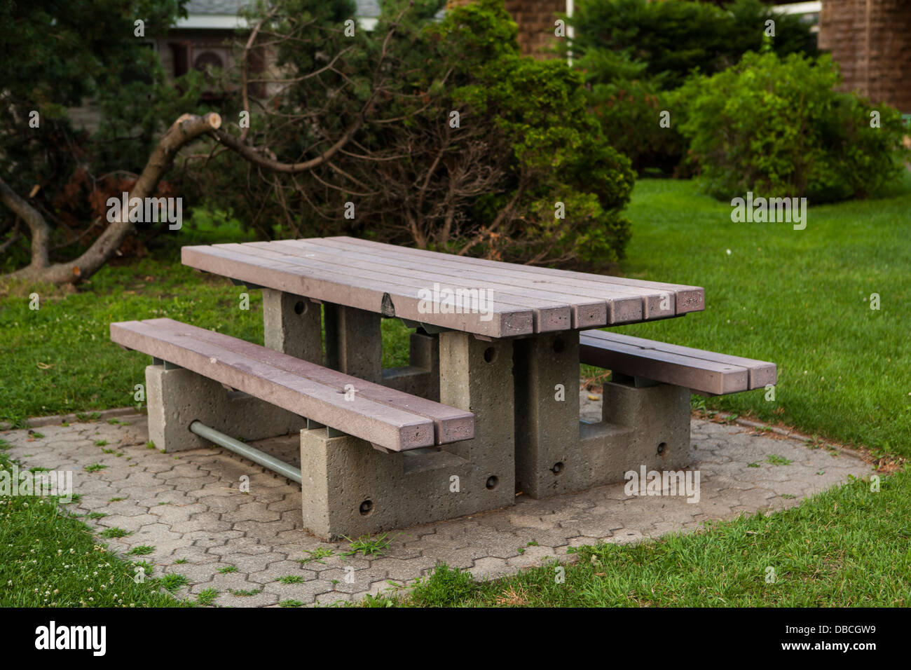 Bench in a park Stock Photo - Alamy