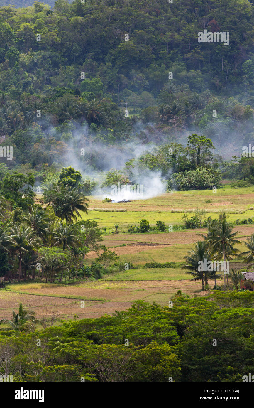 Typical Landscape on Bohol Island, Philippines Stock Photo - Alamy