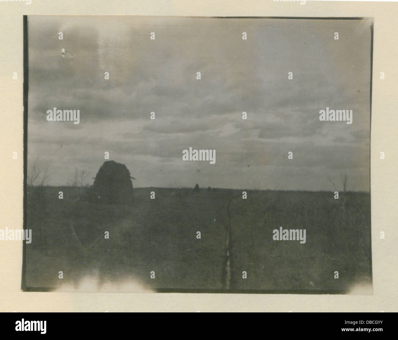 This image shows the process of peat manufacturing, highlighting the ...